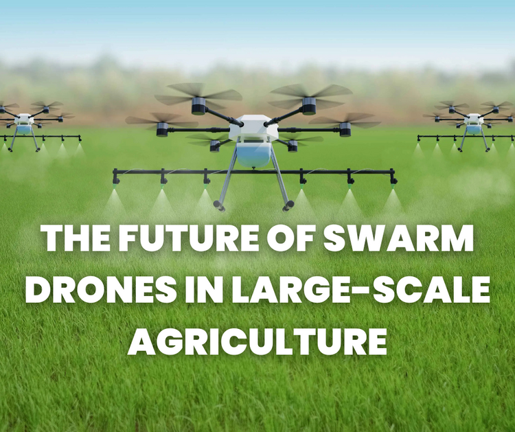 The Future of Swarm Drones in Large-Scale Farming – Avary Drone